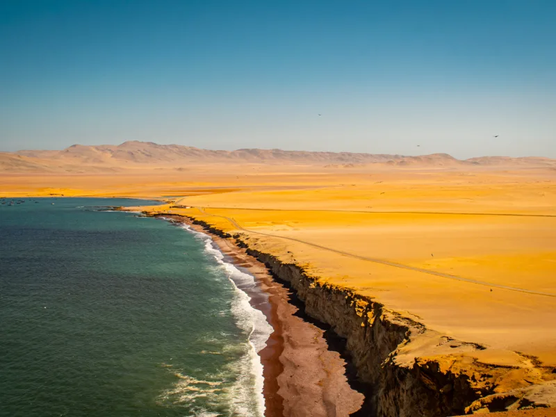 Paracas Peru: 9 Best and Fun Things to Do (2024)